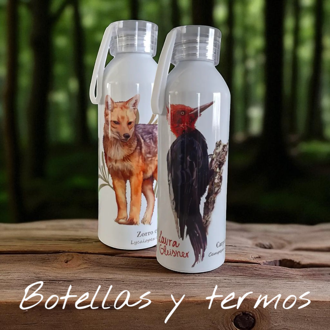 Laura Gleisner Ilustraciones | Nido Alto SpA